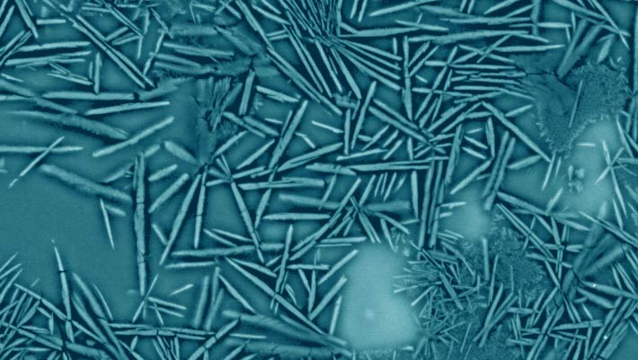 Geology News | Sci.News