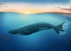 3-Million-Year-Old Fossil from New Zealand Rewrites Evolutionary ...