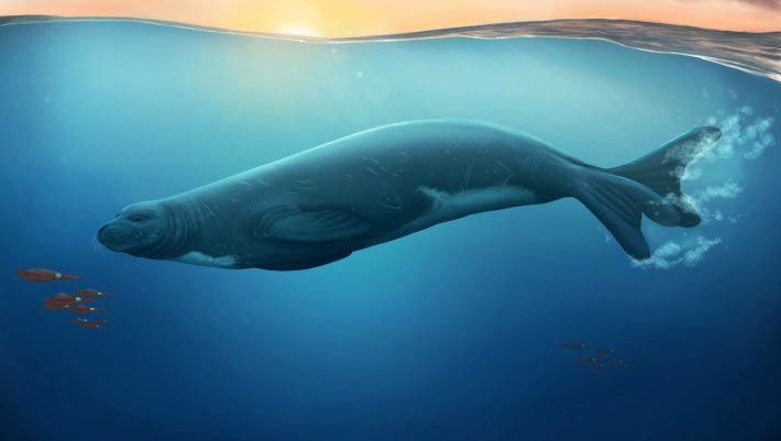 3-Million-Year-Old Fossil from New Zealand Rewrites Evolutionary ...