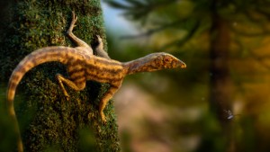 Land-Dwelling Dinosaur Relatives Bridge Gap to Origin of Pterosaurs ...