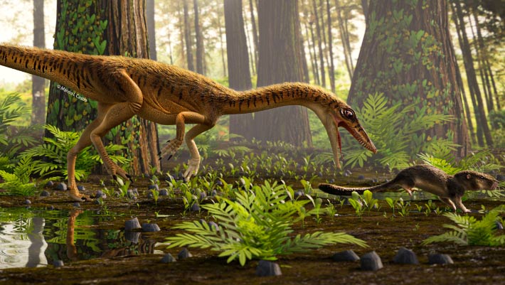 New Meat-Eating Dinosaur Species Found in Brazil | Paleontology | Sci ...