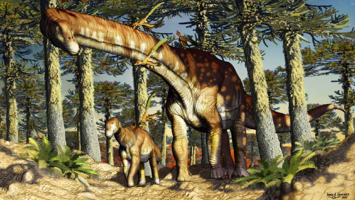 Paleontologists Discover Oldest Known Titanosaur | Paleontology | Sci ...