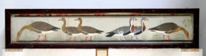4,600-Year-Old Egyptian Painting Depicts Extinct Species of Goose | Sci ...