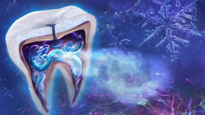 Scientists Figure Out How Teeth Sense Cold | Biology | Sci-News.com