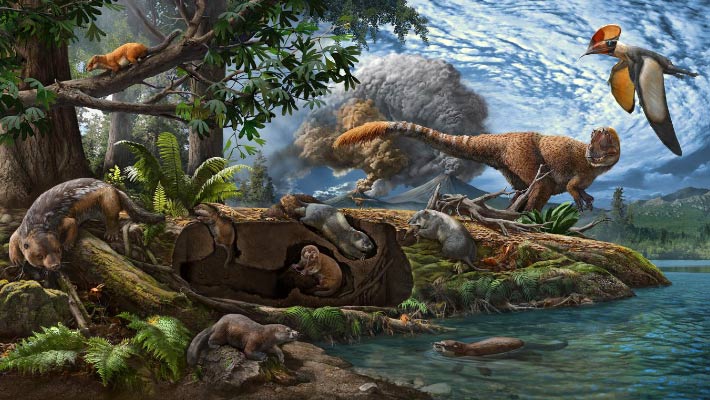 Jurassic Period Plants And Animals
