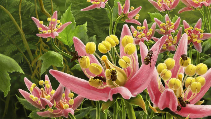 98-Million-Year-Old Pollen-Feeding Beetle Found Preserved in Amber ...