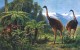 Researchers Sequence Genome of Extinct Little Bush Moa | Sci.News