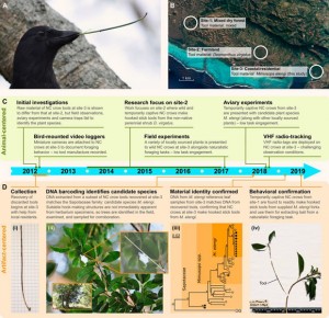 Scientists Use DNA Barcoding to Identify Tool Materials of New ...