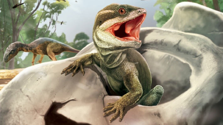 Paleontologists Find 231-Million-Year-Old Fossil of Tuatara-Like ...