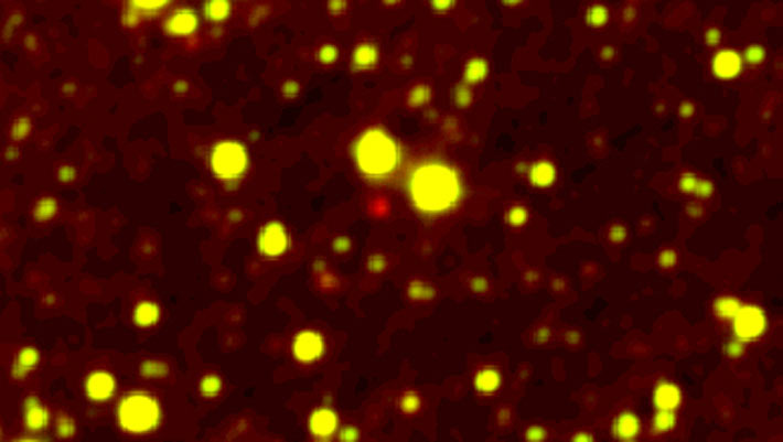 Giant Exoplanet Orbits Its Host Star Once Every 1.1 Million Years ...