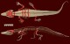 Jurassic-Period Crocodile Ancestor Unearthed in Chile | Paleontology ...