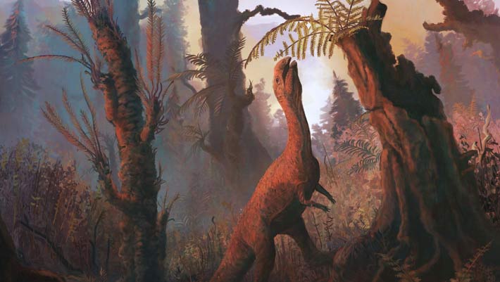 Triassic Crocodile Relative was Specialist Herbivore, Study Reveals ...