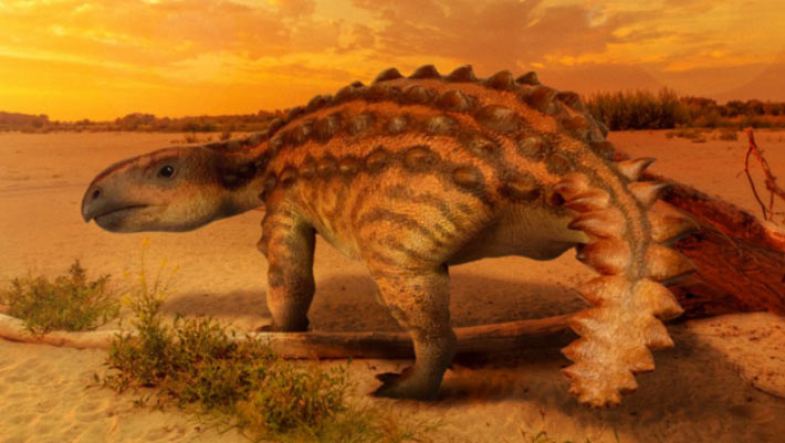 Paleontology News | Sci.News