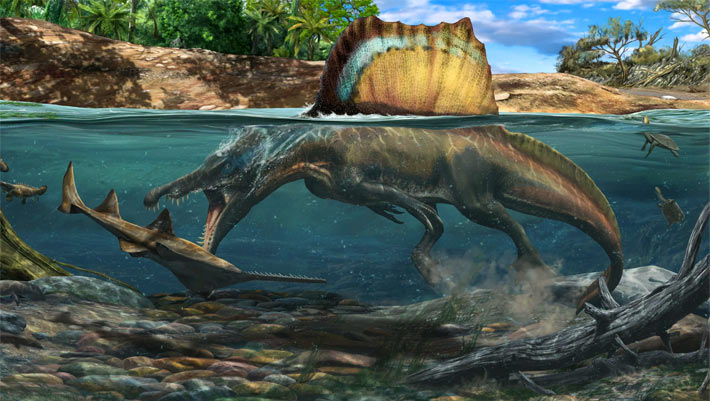 Spinosaurid Dinosaurs Hunted Their Prey Underwater | Sci.News