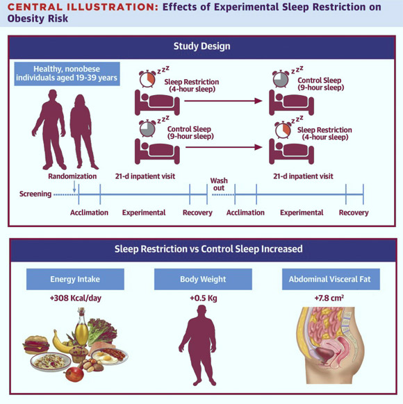 Study Lack Of Sleep Predisposes To Abdominal Visceral Obesity Sci News Study Lack Of Sleep Predisposes To Abdominal Visceral Obesity Sci News