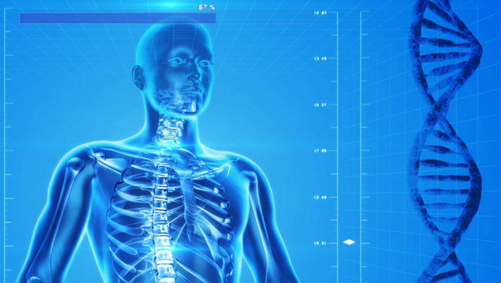 Complete Human Genome Sequenced for First Time | Sci.News