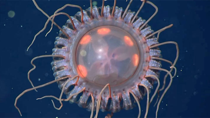 Biology News | Sci.News