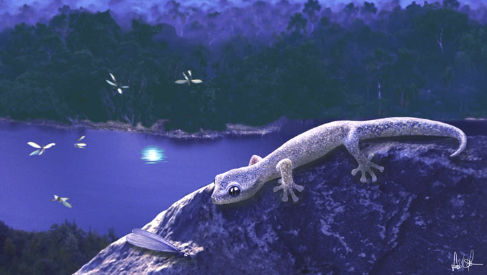 Geckos Lived in Europe as Early as 47 Million Years Ago | Sci.News