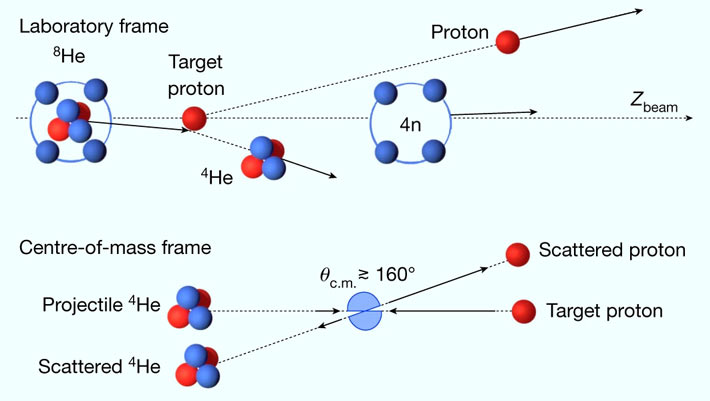 Physicists Observe Elusive Four-Neutron System: Tetraneutron | Sci.News