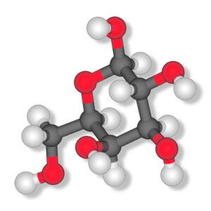 About Us | Sci.News