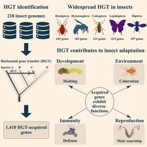 Insects Carry 1,410 Horizontally-Transferred Microbial Genes: Study ...