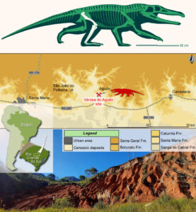 New Species of Triassic Crocodile-Like Reptile Identified in Brazil ...