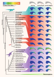 Study: Giant Therizinosaurs Used Their Meter-Long, Sickle-Like Claws ...
