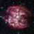Webb Captures Extremely Luminous and Hot Wolf-Rayet Star | Sci.News