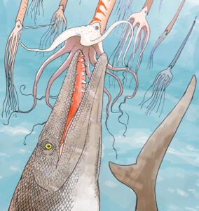 New Species of Durophagous Mosasaur Unearthed in Morocco | Sci.News