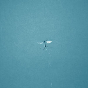 Newly-Developed Insect-Scale Robot Can Fly Fully in All Directions ...