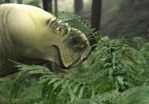 New Triassic Dicynodont Species Discovered in Poland | Sci.News