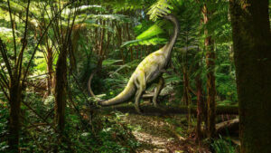 South African Fossil Reveals Smallest Jurassic Sauropodomorph Dinosaur ...