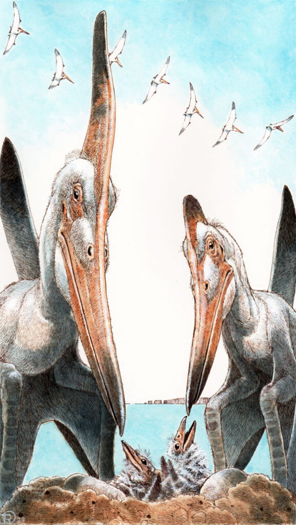 Large-Bodied Pterosaurs Were Caring Parents, Paleontologists Say | Sci.News