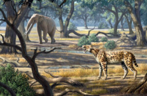 Two New Species of Saber-Toothed Cats Identified in South Africa | Sci.News