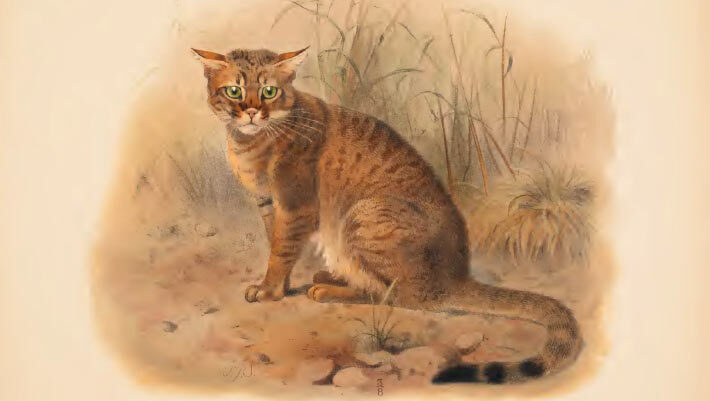 Sci.News: Breaking Science News