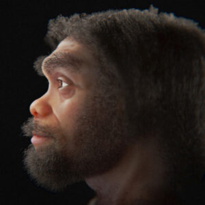 Face of Homo longi Reconstructed | Sci.News