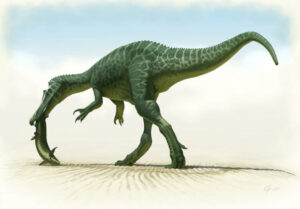 New Spinosaurid Dinosaur Species Identified in Spain | Sci.News