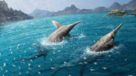 Paleontologists Identify New Species of Giant Triassic Ichthyosaur ...