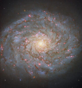 Hubble Snaps Incredible Image of NGC 4689 | Sci.News