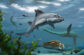 New Species of Fossil Hybodontiform Shark Identified in Japan | Sci.News