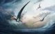New Flying Reptile Fossils Found in Australia | Sci.News