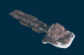 Giant Salamander-Like Predator Lived in Namibia 280 Million Years Ago ...