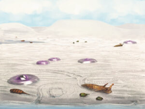 The First Animals on Land Evolved in Warm Tidal Nursery Pools 500 ...