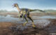 New Species of Troodontid Dinosaur Identified in Japan | Sci.News