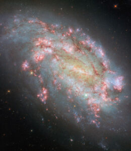 Hubble Space Telescope Observes Hidden Depths of NGC 1559 | Sci.News