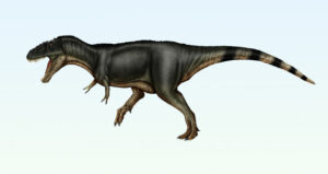 New Tyrannosaur Species Unearthed in Mexico: Labocania aguillonae | Sci ...