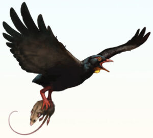 Avisaurid Birds from Cretaceous Period May Have Hunted Like Modern ...