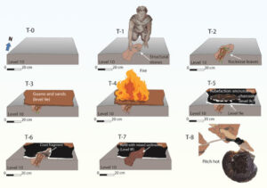 65,000-Year-Old Neanderthal Hearth Structure Discovered in Gibraltar ...
