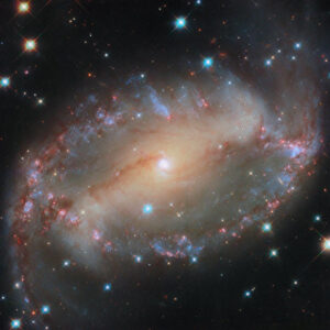 Hubble Focuses on Beautiful Barred Spiral Galaxy: NGC 2566 | Sci.News