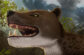 Fearsome Hyena-Like Mammals Lived in Africa 30 Million Years Ago | Sci.News